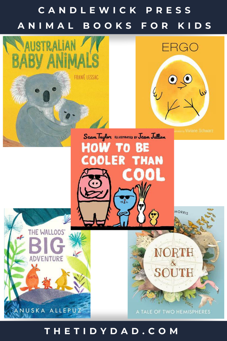 Animal Picture Books: Candlewick Press book review – thetidydad.com